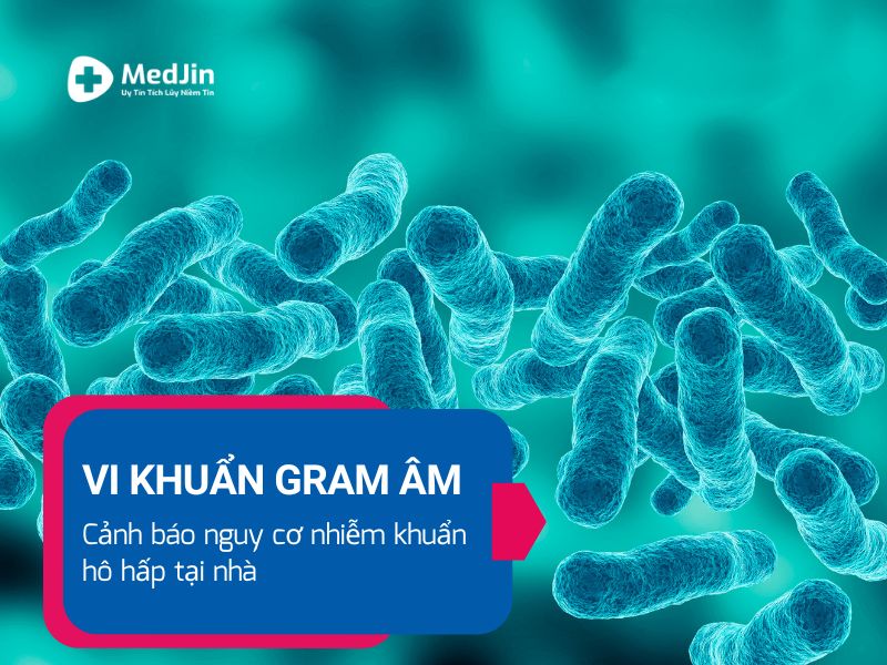 Vi khuẩn Gram âm là gì? Cảnh báo nguy cơ nhiễm khuẩn hô hấp tại nhà